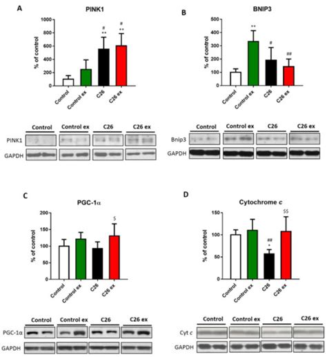 Cancers Special Issue Cancer Cachexia