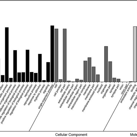 Gene Ontology Classification Of Assembled Unigenes Download