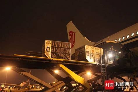 國航成都飛法蘭克福國際航線正式復航 八噸「成都造」電子產品將飛抵歐洲 每日頭條