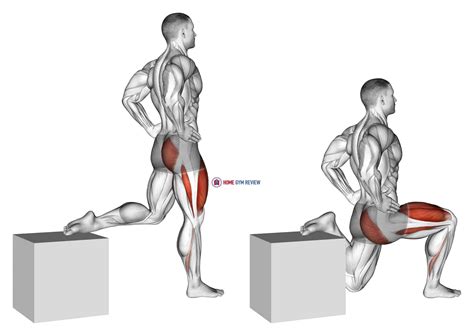 One Leg Squat Home Gym Review