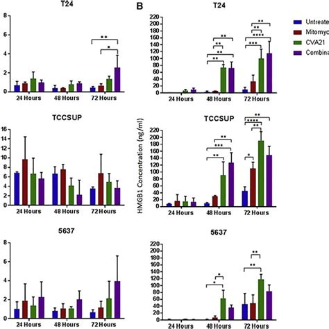 The Effects Of Mitomycin C On Bladder Cancer Cells And Viral Download Scientific Diagram