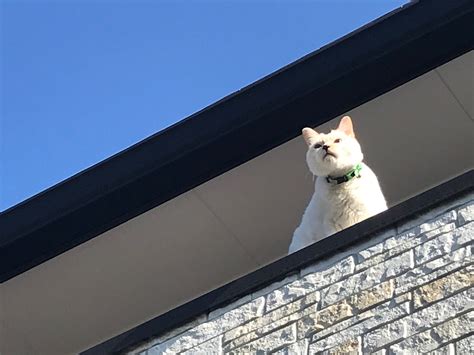 【腰痛の治し方】長年腰に問題を抱えている方に！ 千葉県松戸市新松戸 ときた整骨院