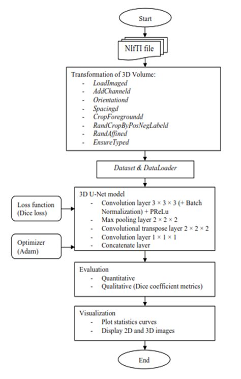 flow chart of the segmentation model for 3d volume download