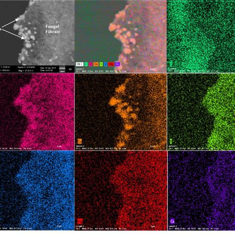 Uv Vis Spectrum Of The Synthesized Cuo Nps Copper Sulfate And P