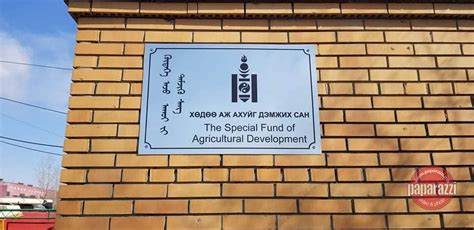 Ажлын байран дээрээ архидан согтуурч зодолдсон дарга нарыг үүрэгт нь ажлаас чөлөөлөхөөр болжээ