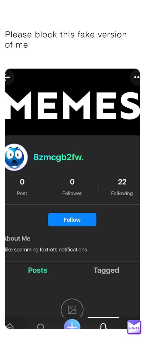 Please Block This Fake Version Of Me 8zmcgb2pfw Memes
