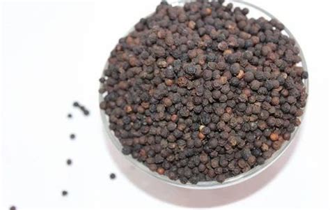 Horticultural Impex Piper Nigrum Seeds Packaging Type Packet At