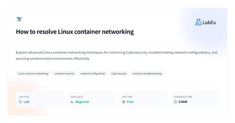 How To Resolve Linux Container Networking Labex