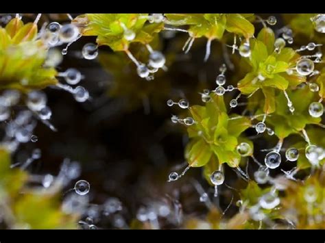 Fia Ground Layer Indicator Robert Smith Sarah Jovan