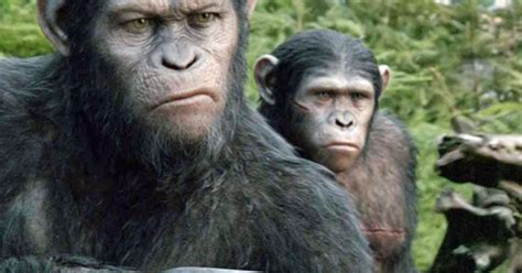 G1 Confira Os Filmes Em Cartaz Nos Cinemas Do Sul Do Rio De Janeiro