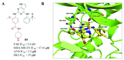 A Chemical Structure Of Compound 59 B Predicted Binding Mode Of