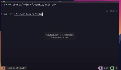 Anyone Know What Terminal Emulator And Theme This Is Rvim