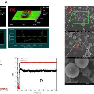 Examples Of Experimental Measurements In Which Irradiance Was Changed Download Scientific