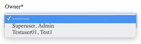 Python Updateview Does Not Show Existing Data When Using Filter