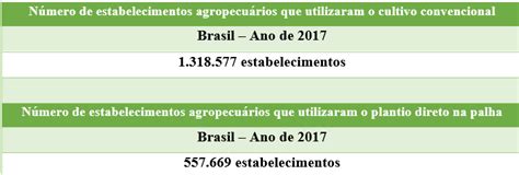 Plantio Direto Descubra As Estratégias E Seus Benefícios Agropós