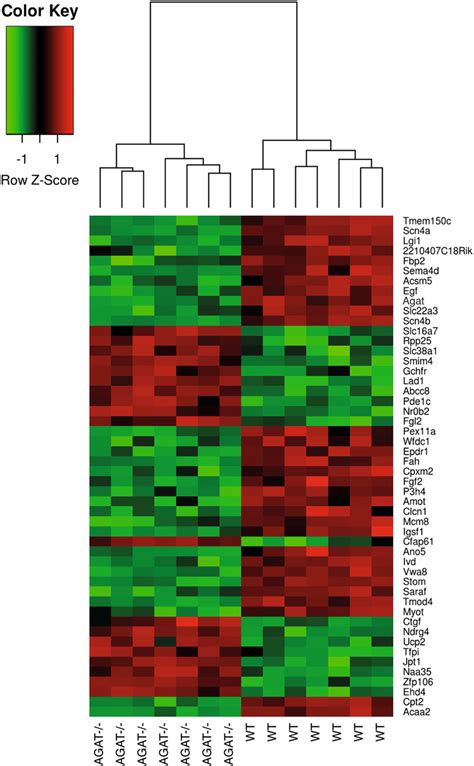 Heatmap Of Gene Expression Values Depicting Clustering Of Genes Between