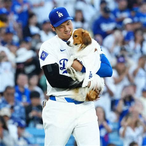ドジャースオリオールズ始球式を行うデコピンと大谷撮影西尾 大助 スポニチ Sponichi Annex 野球