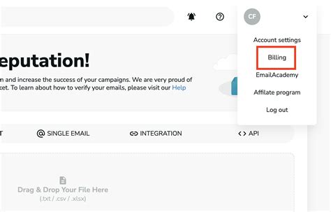 Manage Your Invoices MillionVerifier Help Pages