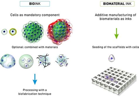 3d Bioprinting Definition Principle Process Types Applications