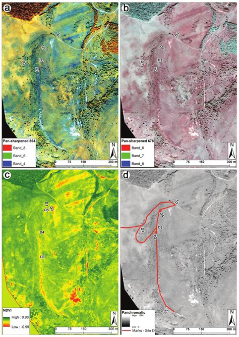 The Marks Of Archaeological Interest From Site D Visible Within The Pan