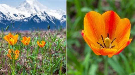 Adobe Firefly Brings Generative AI Fill To Photoshop