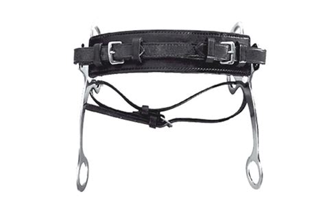 Hackamore