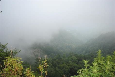 Anjan Lamichhane Posted On Linkedin