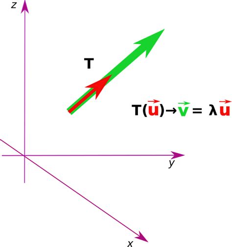 An Eigenvector U Of A Linear Transformation T Will Not Be Modified By