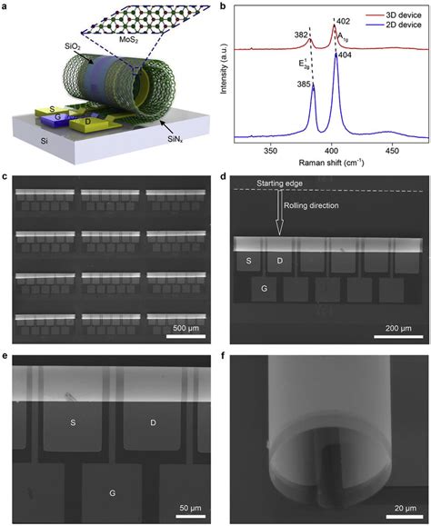 The 3d Tubular Mos2 Fets A Schematic 3d View Of The Tubular Mos2 Download Scientific Diagram