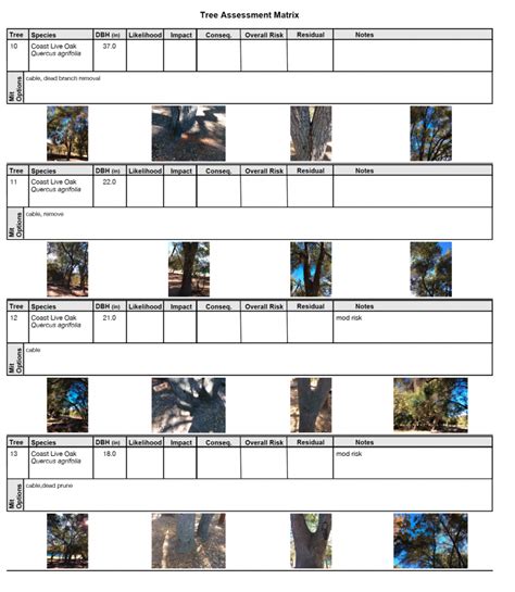 Tree Report From Tree Inventory App Instant Maps Tree Inventory Reports