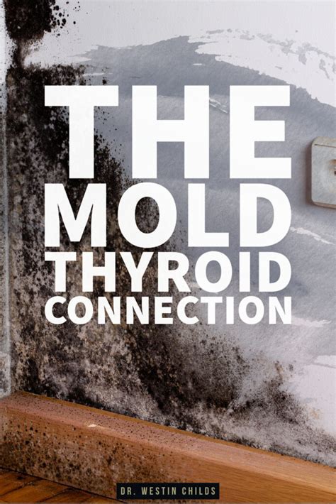 How Mold Exposure Causes Thyroid Problems Hypothyroidism