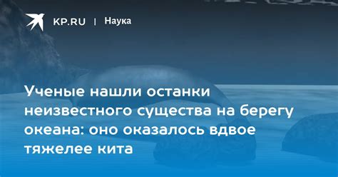 Ученые нашли останки неизвестного существа на берегу океана оно оказалось вдвое тяжелее кита