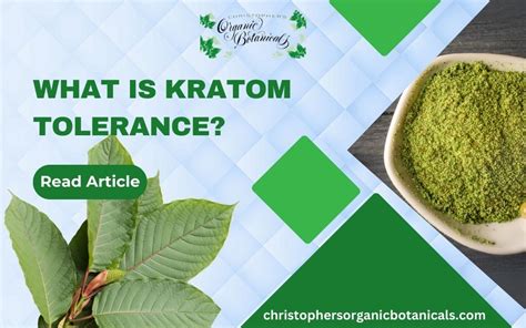 What Is Kratom Tolerance