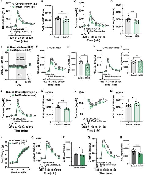 Obesity Associated Microglial Inflammatory Activation Paradoxically
