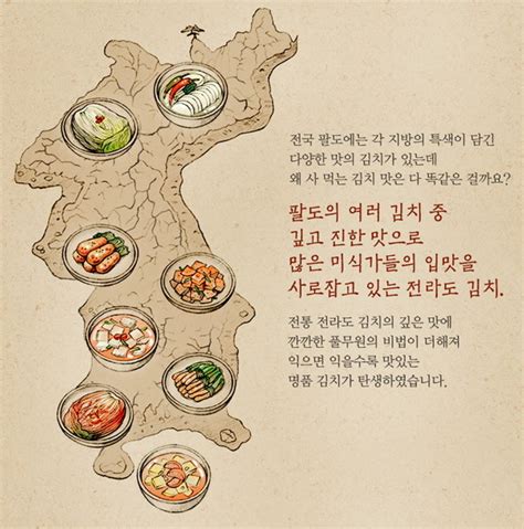 오늘의 특가 전라도 김치의 깊은맛 그대로~ 풀무원 깊은맛 전라도 김치 35 할인