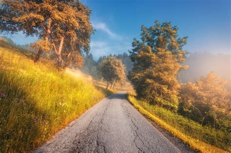 안개 낀 가을 아침에 산속의 시골길 자연 시골길 오렌지 나무 안개 속의 언덕에 노란 잔디가 있는 풍경 슬로베니아의 가을 일출 하늘 도로의 평면도 자연 0명에 대한 스톡 사진
