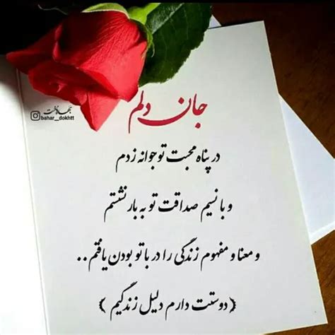 دوستت دارم دلیل زندگیم ‿ عکس ویسگون