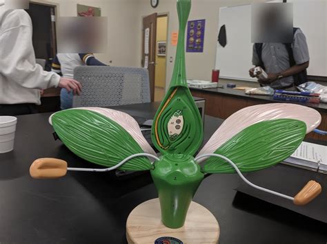 Flower 1 Diagram Quizlet
