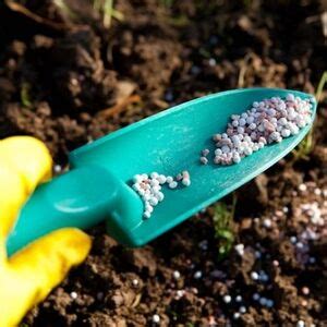 Qual a diferença entre adubo e fertilizante GUIA COMPLETO