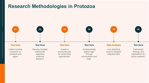 Research Methodologies In Protozoa Ppt Slides Acp Ppt Example