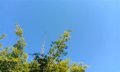 应对财政压力增大就随意缩减机关事业单位人员薪资？太过“霸道”地方支出相关