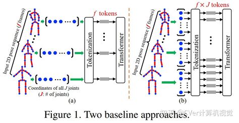 无卷积PoseFormer第一个基于时空Transformer的 D人体姿态估计 知乎
