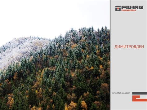 Engineering Ead Инженеринг ЕАД On Linkedin Според поверието с Димитровден пристига и зимата