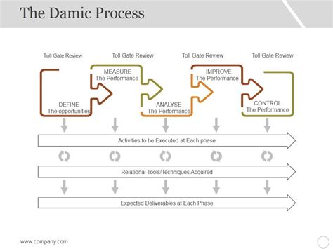 The Damic Process Template 2 Ppt Powerpoint Presentation Summary Example