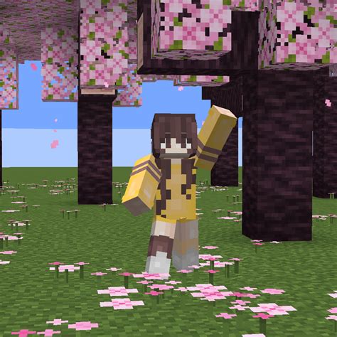 you can use item display entities and custom skins to make whatever