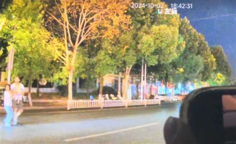 一家三口被撞身亡案司机被批捕 律师：若判危害公共安全罪，最高死刑 上游新闻 汇聚向上的力量