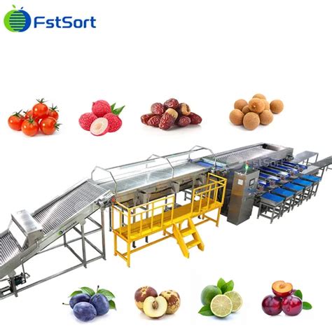 Winter Jujube Small Green Orange Calamansi Sorting Grading Machine Fruit Processing Equipment