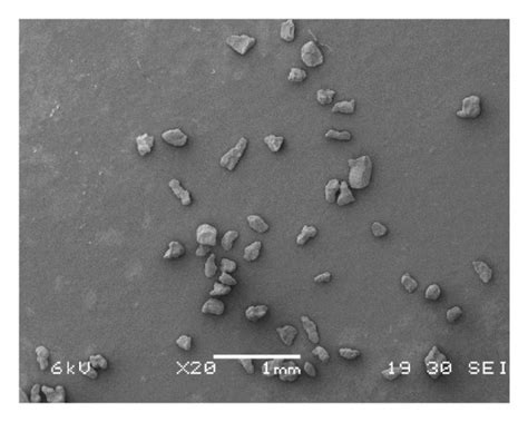 Scanning Electron Microscopy Depicting The Surface Of A Cristobalite