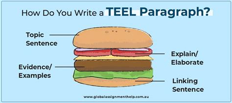 What Is Teel Structure Paragraph And Essay Check Examples And Tips