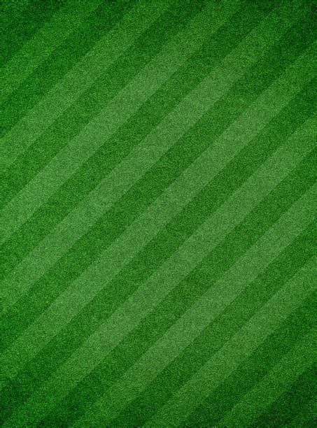 Grass Texture With Stripe